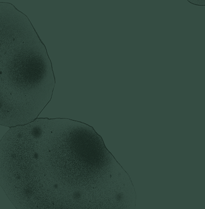 About – Neodermis Factor